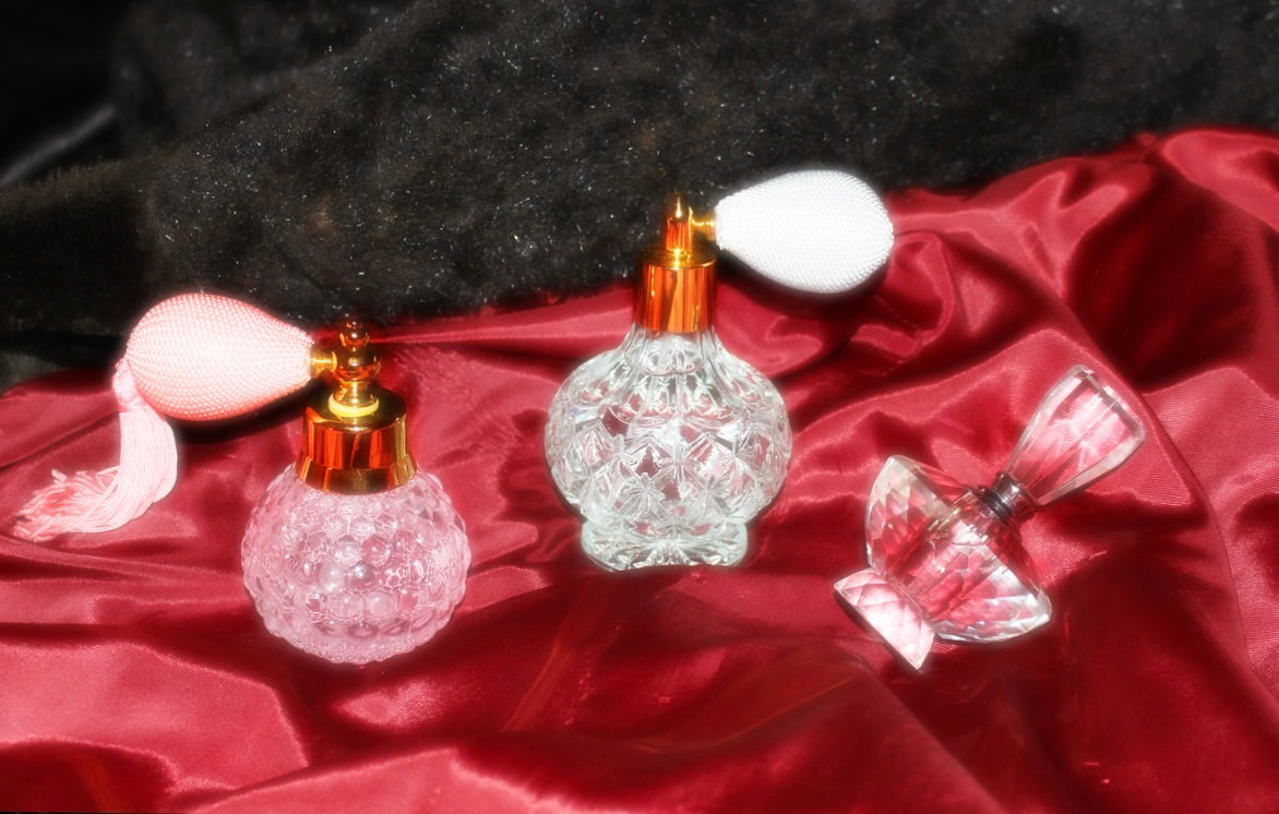 Beauty – Princess Brain Rot